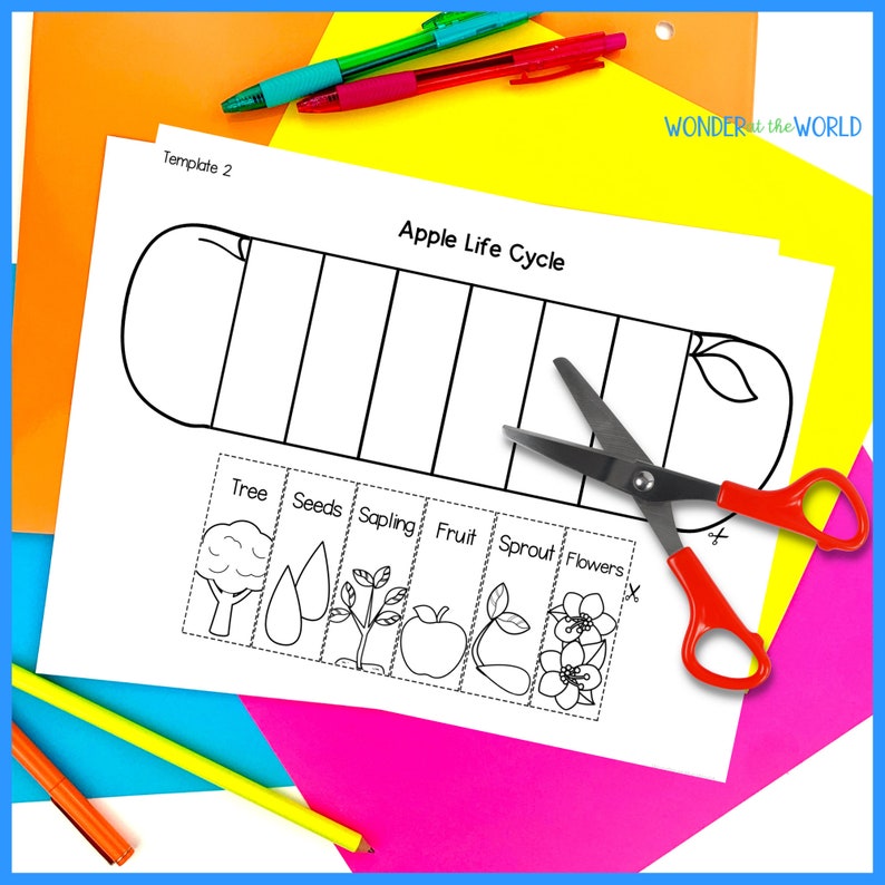 Fall Autumn Plant Life Cycles Foldable Science Activities - Etsy UK