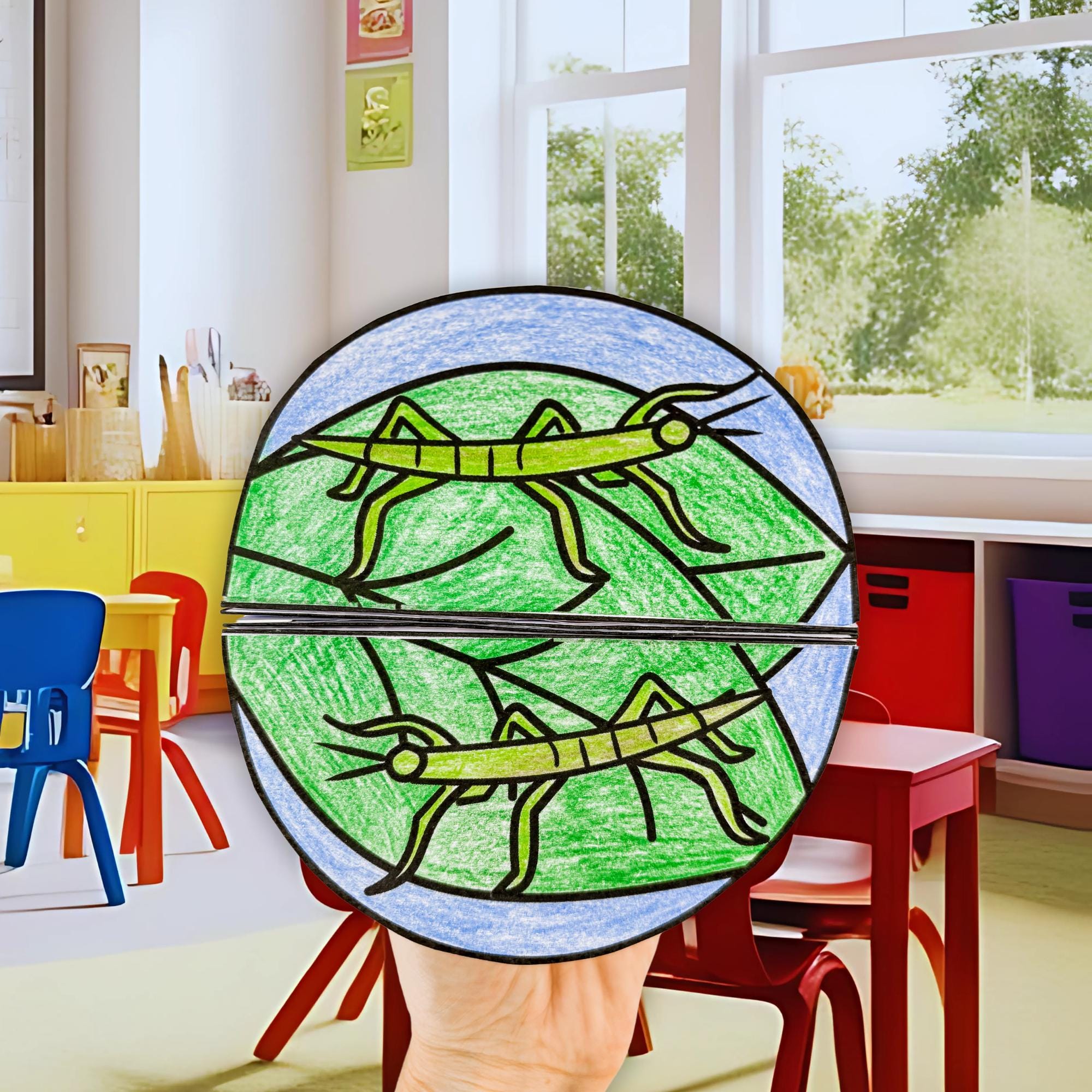 Life Cycle and Parts of a Stick Insect Cut and Paste Science Activities ...