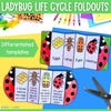 Ladybug Life Cycle Activity Bundle: Montessori Cards, Puzzle (PDF ...