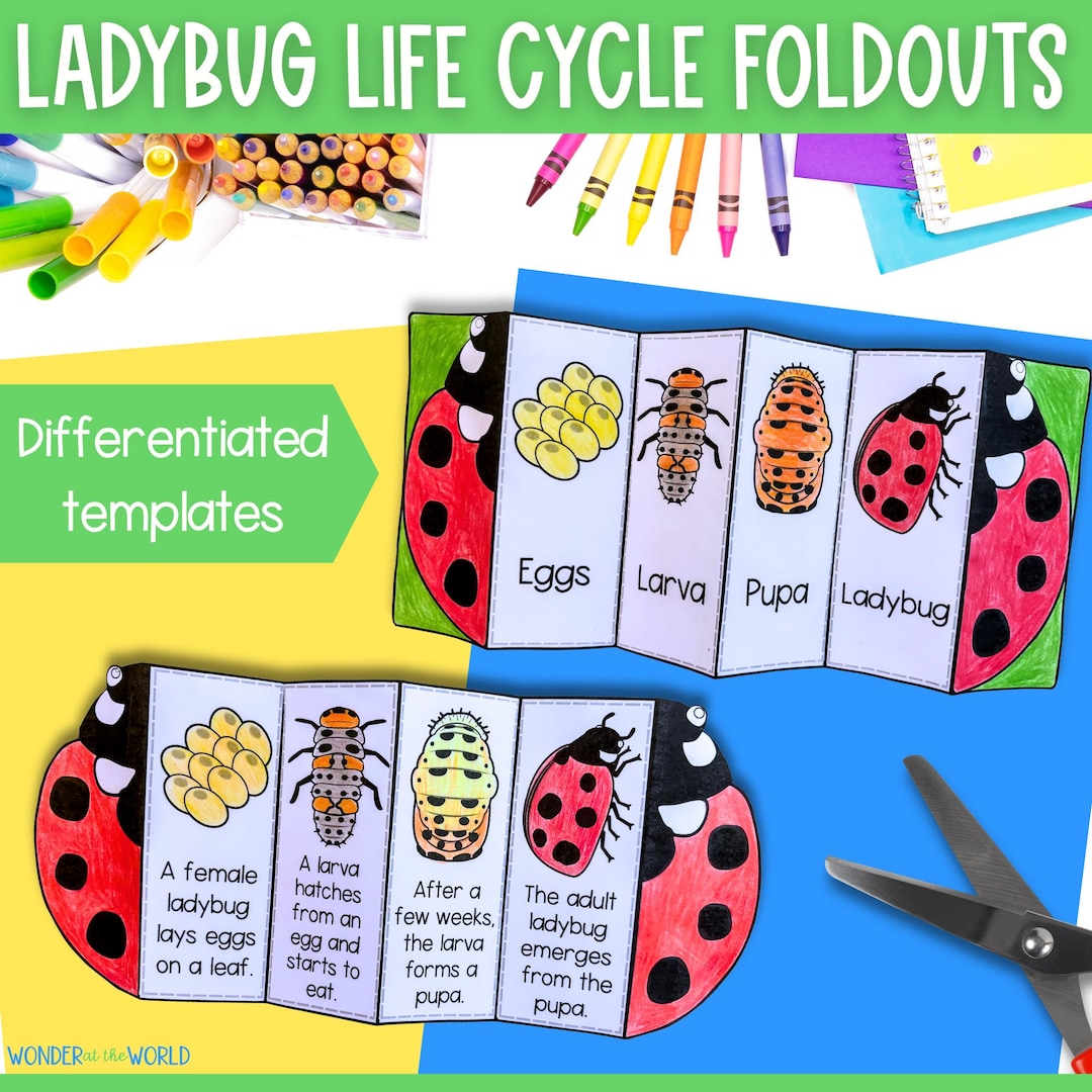 Life Cycle of a Ladybug Ladybird Sequence and Fold Kids' Science Craft ...