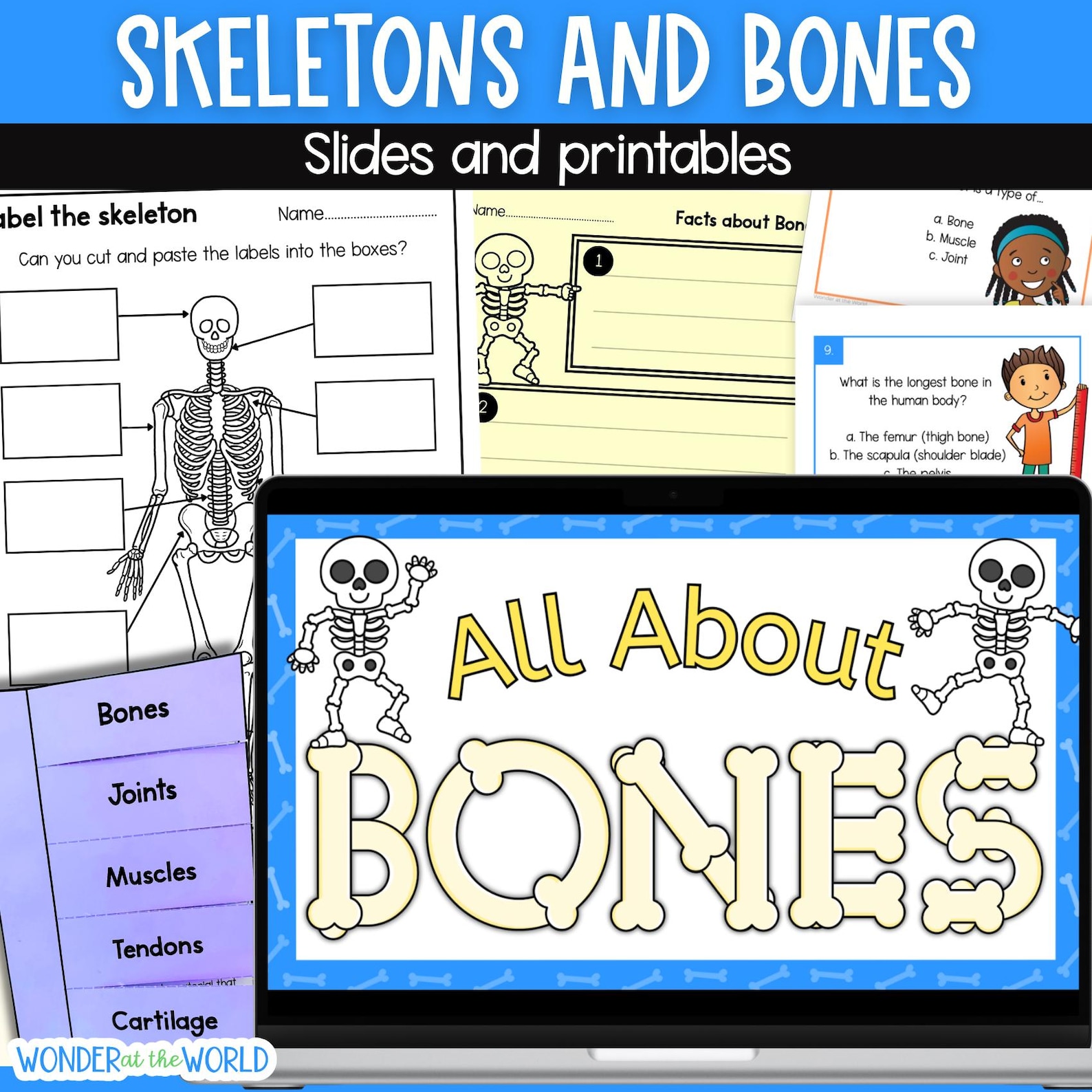 Human Skeleton and Bones Skeletal System Lesson With Slides Printables ...