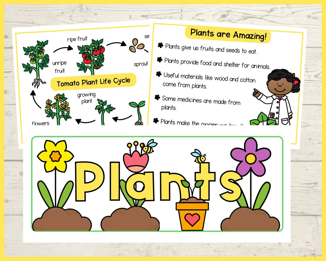 Plants Science Display for Classroom Bulletin Board Display Plant ...