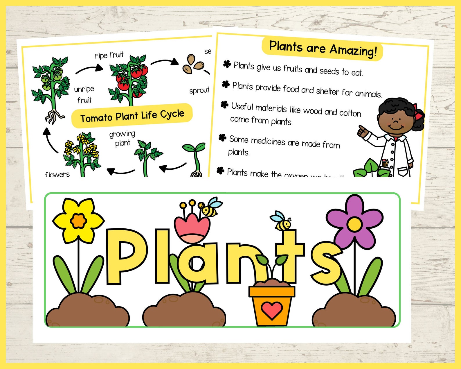 Plants Science Display for Classroom | Bulletin Board Display | Plant ...