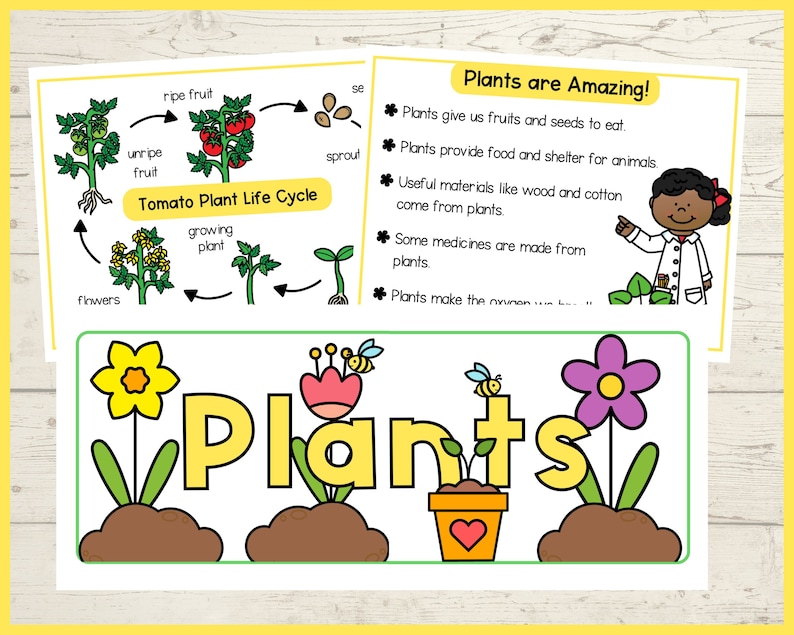Plants Science Display for Classroom | Bulletin Board Display | Plant ...