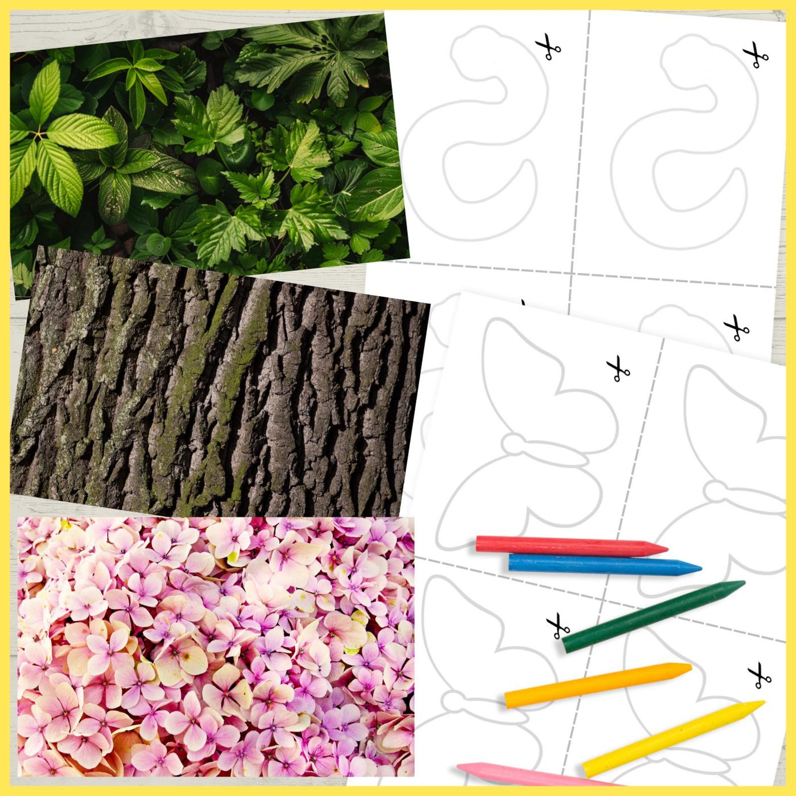 Animal Camouflage Science Lesson Powerpoint Google Slides Presentation ...