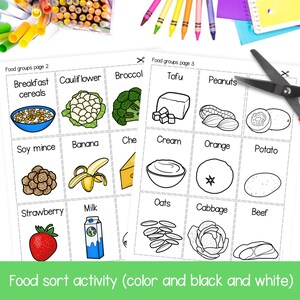Healthy Eating and Foods Printable Foldable Activity, Food Sorting and ...