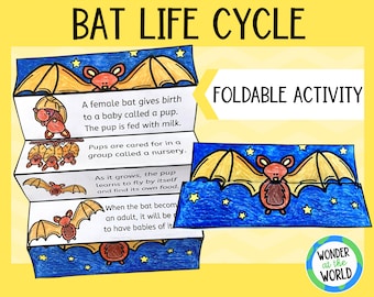 Life Cycle of a Pumpkin Foldable Activity for Kids A4 and - Etsy
