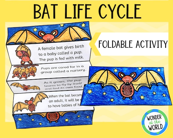 Fruit Bat Life Cycle Fruit Bat Needle Felt Pack With Or Without