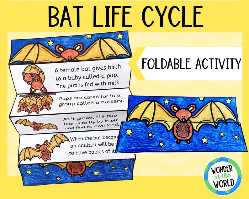 Ciclo de vida de un murciélago actividad científica plegable para niños ...