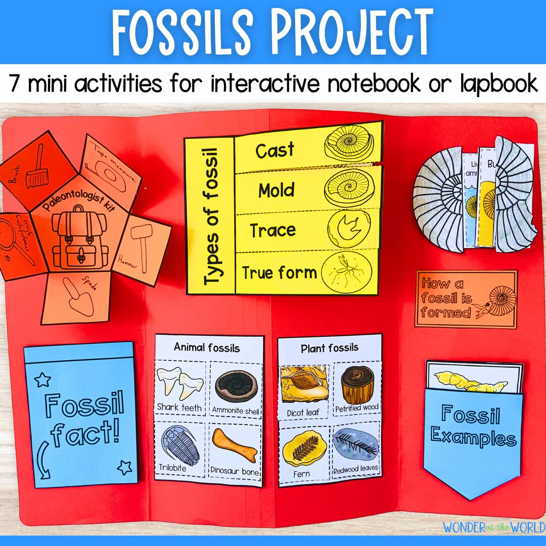 Fossils Lapbook or Interactive Notebook Activity Printable Templates ...