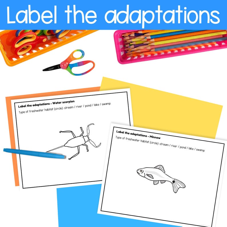 Animal Adaptations Freshwater Habitats Foldout Cut and Paste Activity ...
