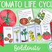 Life Cycle of an Axolotl Cut and Paste Foldout Science Activity and ...
