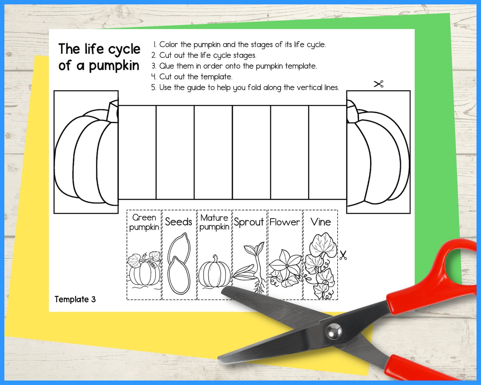 Plants Life Cycles Foldable Science Activities Apple Pumpkin Sunflower ...