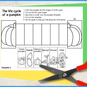 Plants Life Cycles Foldable Science Activities | Apple Pumpkin ...