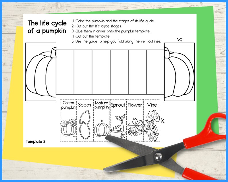 Plants Life Cycles Foldable Science Activities Apple Pumpkin Sunflower ...