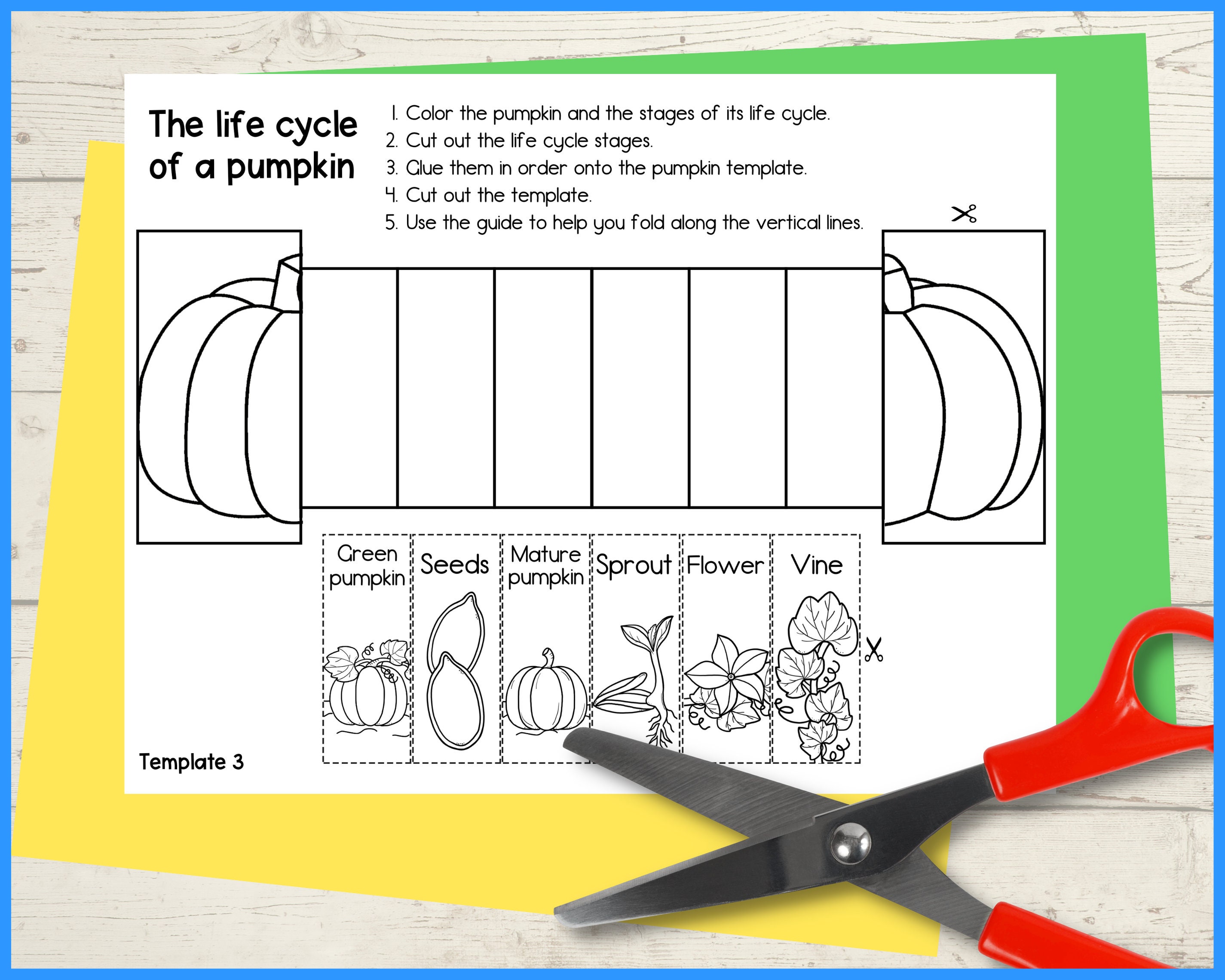 Plants Life Cycles Foldable Science Activities Apple Pumpkin Sunflower ...