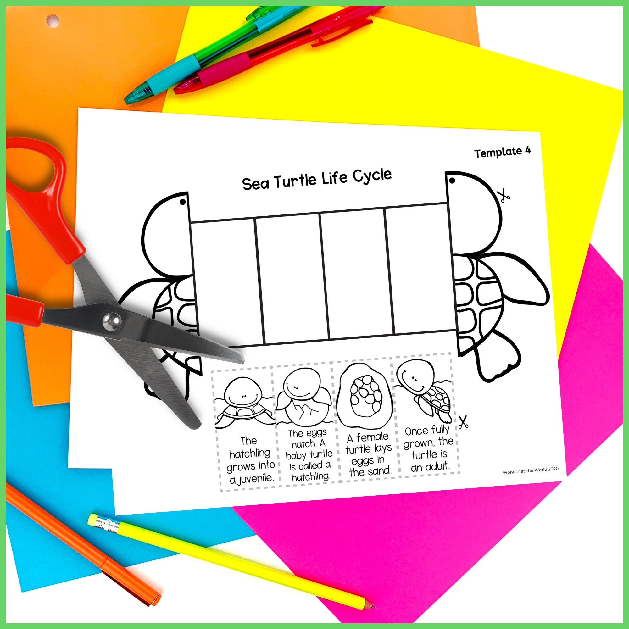 Ocean Animal Life Cycle Foldable Activities for Kids Clownfish Penguin ...