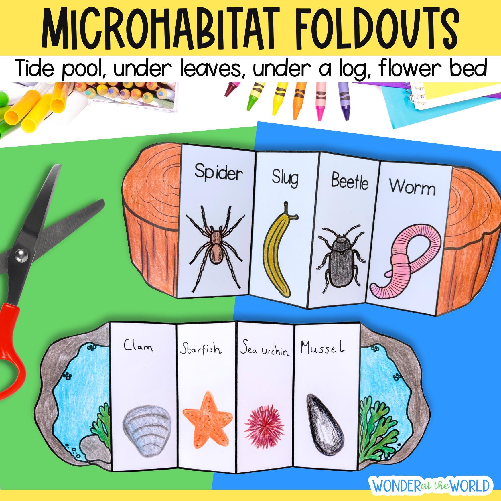 Animal Microhabitats Foldout Kids' Science Activity for a Tide Rock ...