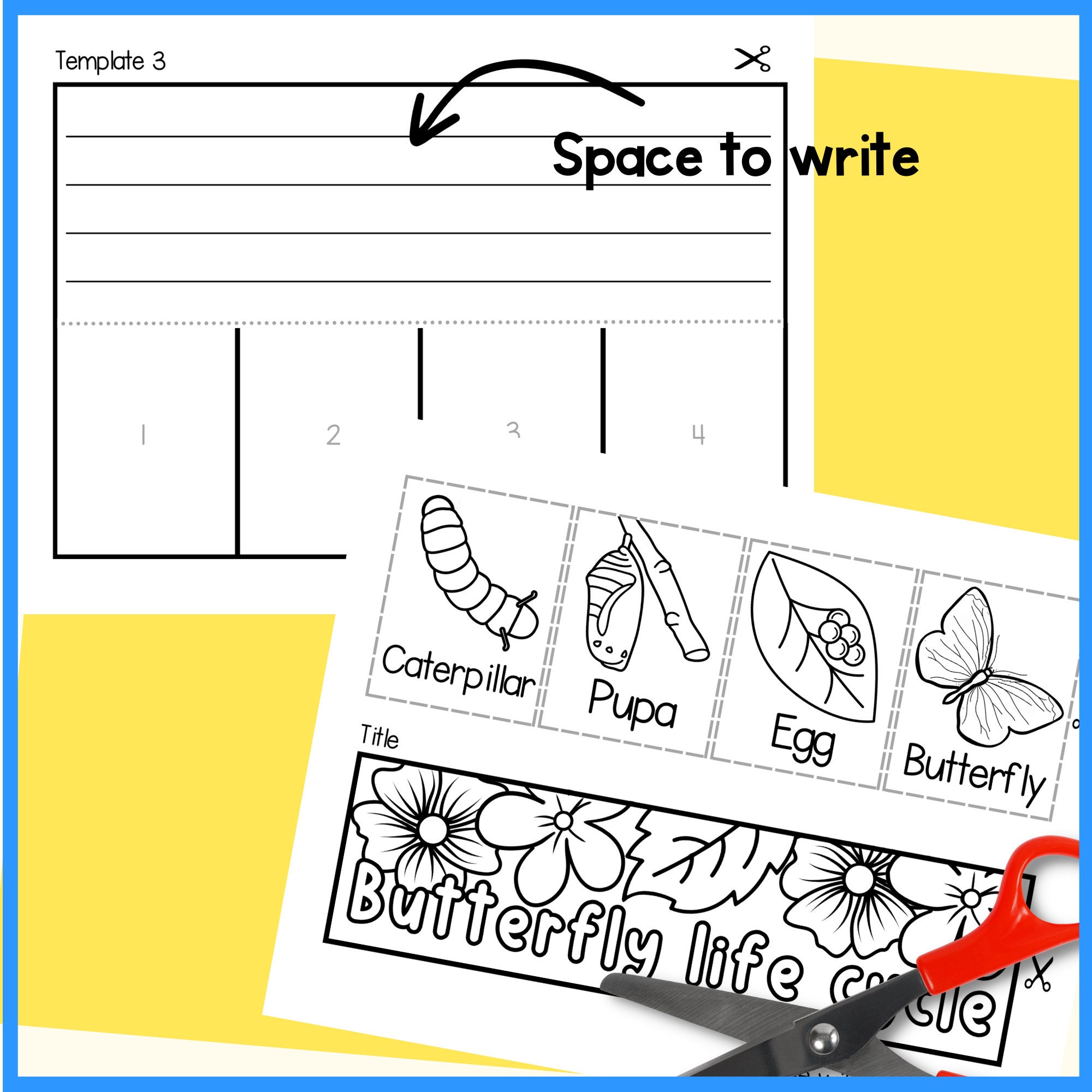 Insect Life Cycles Lift the Flap Printable Activity for Butterfly Honey ...