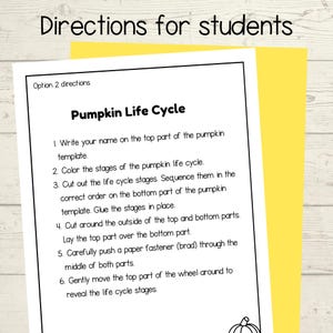 Life Cycle of a Pumpkin Spinner Wheel Sequencing Activity Fall Science ...