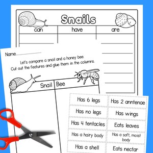 The Life Cycle of a Snail Spinner Wheel Science Sequencing Craft Cut ...