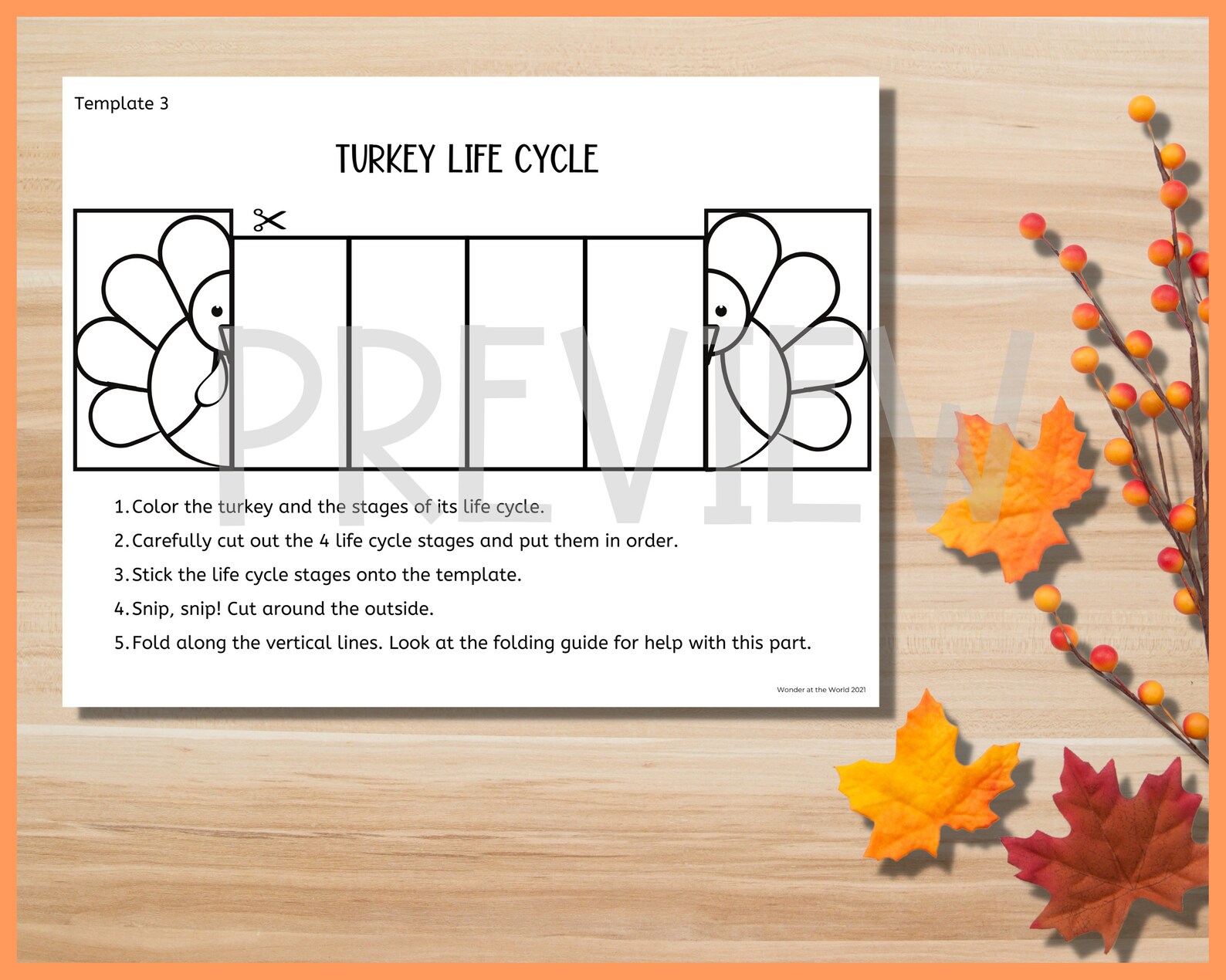 Life Cycle of a Turkey Foldable Kids' Craft 11x8.5 Inch - Etsy UK