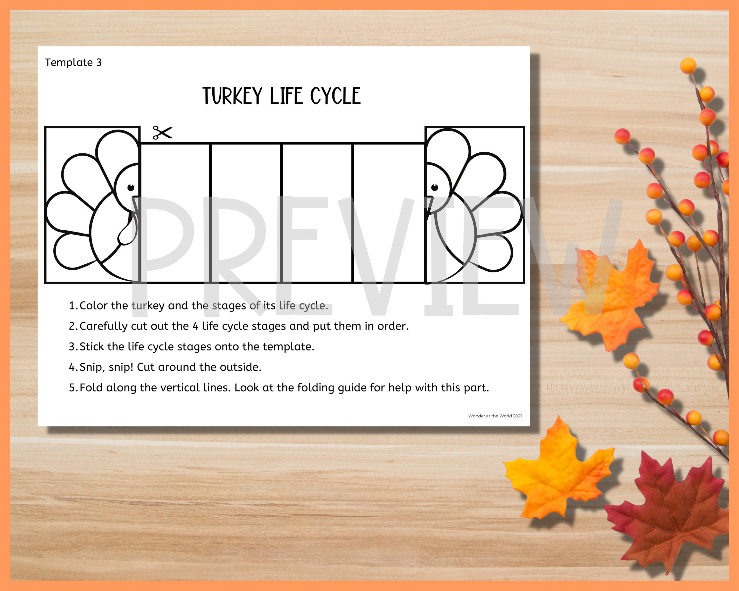 Life Cycle of a Turkey Foldable Kids' Craft 11x8.5 Inch | Etsy UK