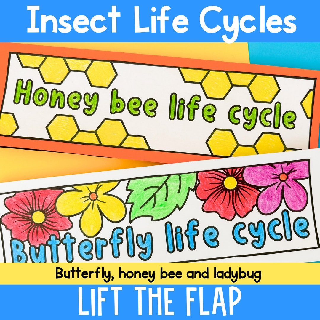 Insect Life Cycles Lift the Flap Printable Activity for Butterfly Honey ...