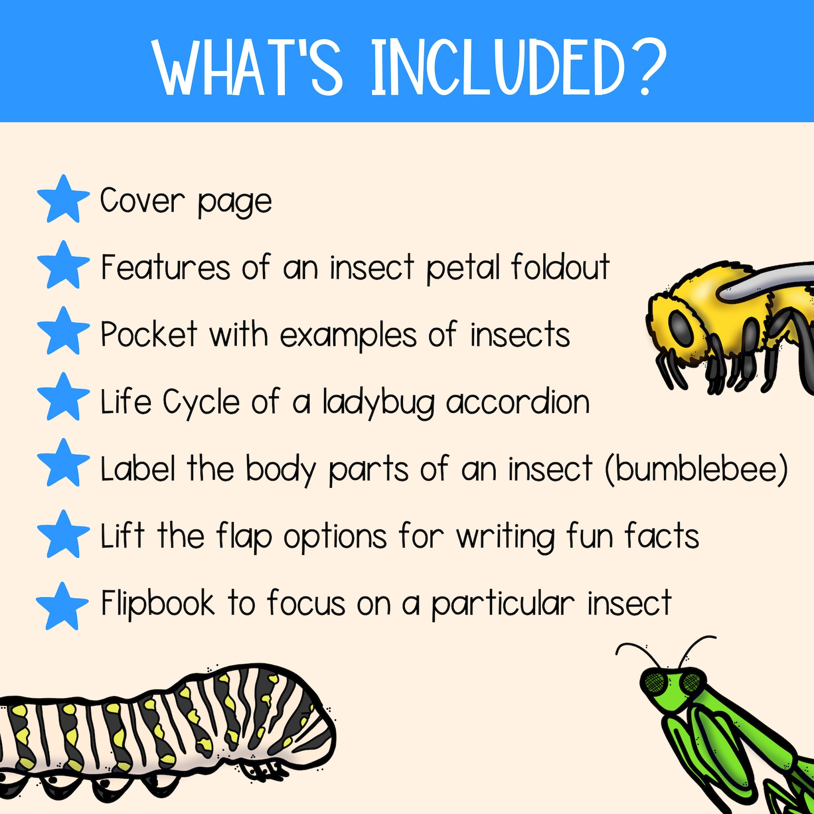 Insect Bugs Foldable Printable Lapbook Templates Digital Download Kids ...