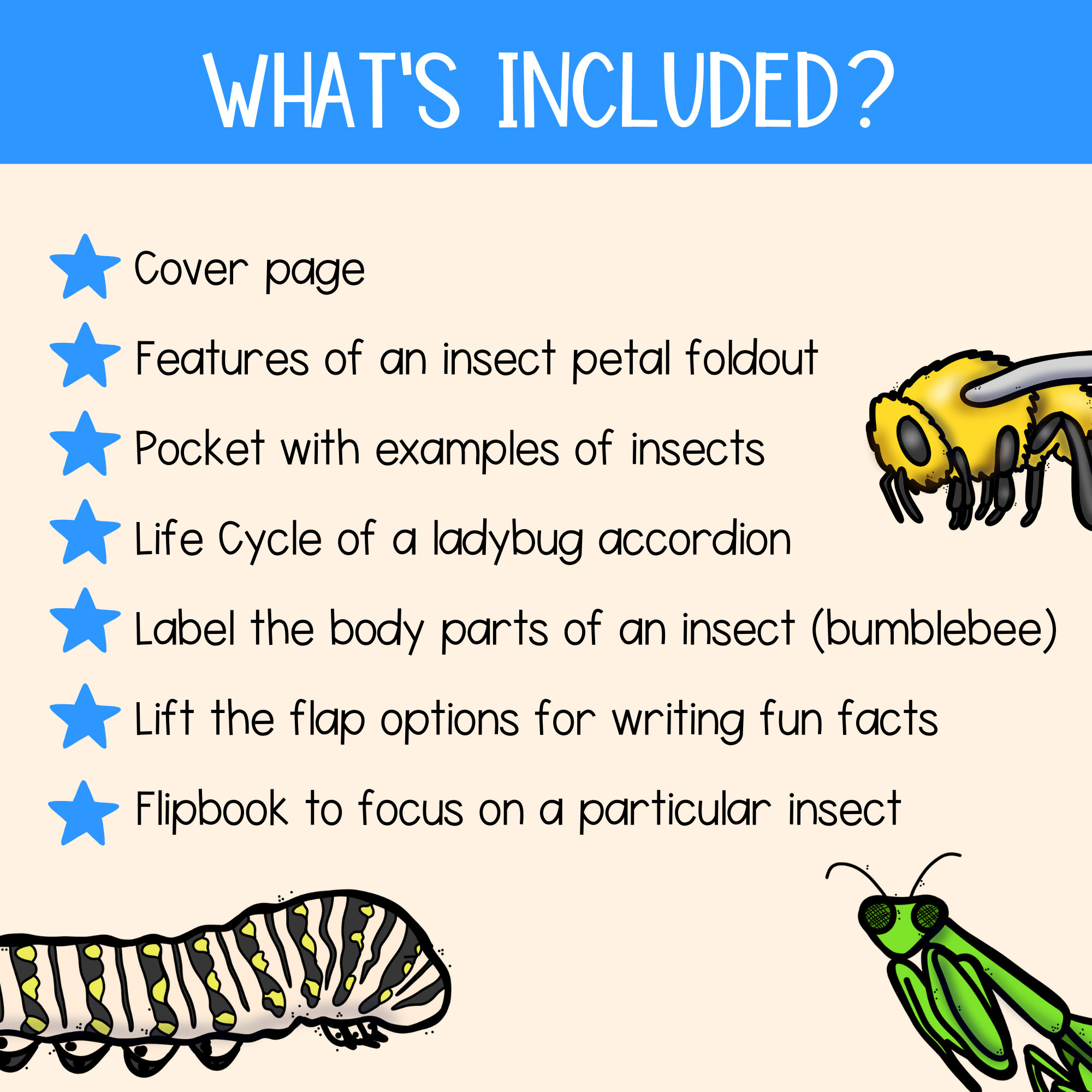 Insect Bugs Foldable Printable Lapbook Templates Digital Download Kids ...