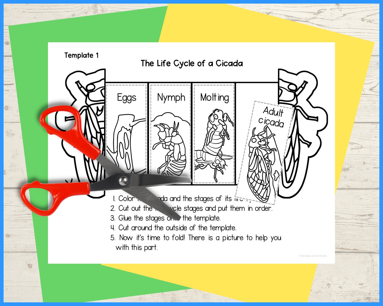 Life Cycle of a Cicada Foldable Sequencing Science Activity for Kids ...