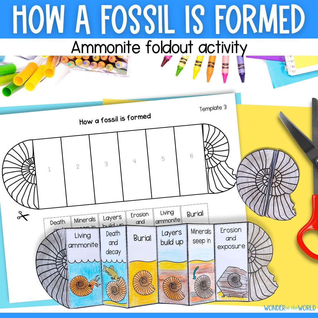 How a Fossil is Formed Foldable Sequencing Activity and Reading ...
