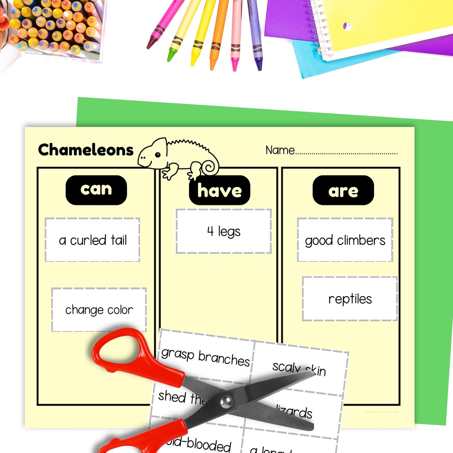 Life Cycle of a Chameleon Lizard Foldable Sequencing Activity Cut and ...