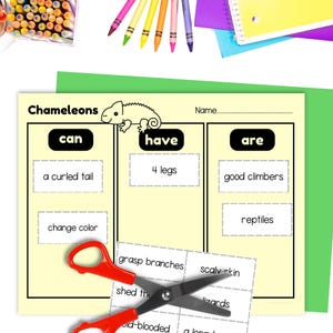 Life Cycle of a Chameleon Lizard Foldable Sequencing Activity Cut and ...