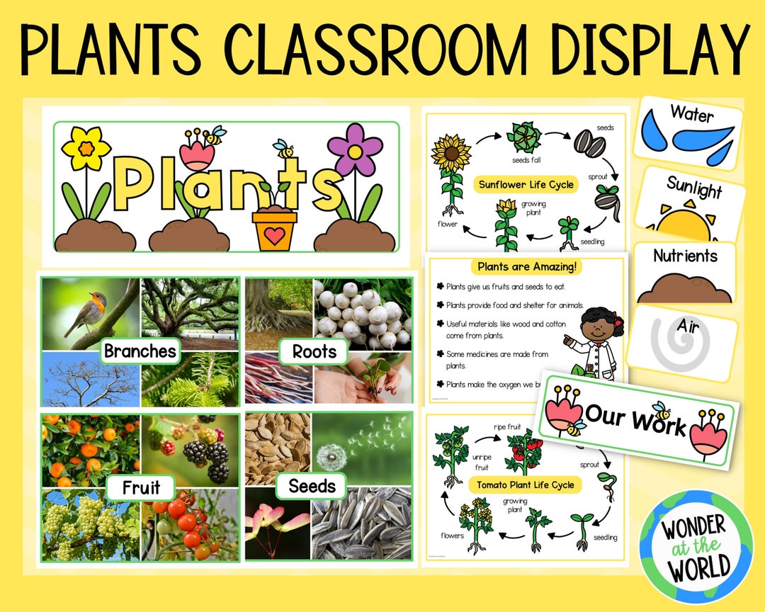 Plants Science Display for Classroom | Bulletin Board Display | Plant ...