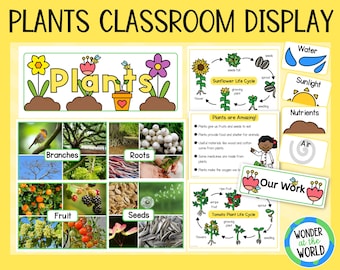 Weather Printable Classroom Display for Teachers Digital Download PDF ...