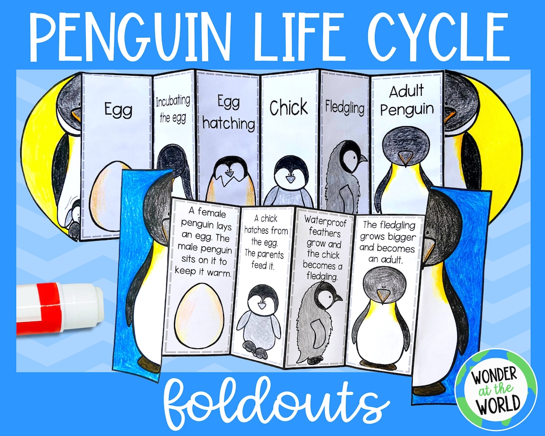 Life Cycle of a Penguin Foldable Kids' Craft Activity A4 and 11x8.5 ...