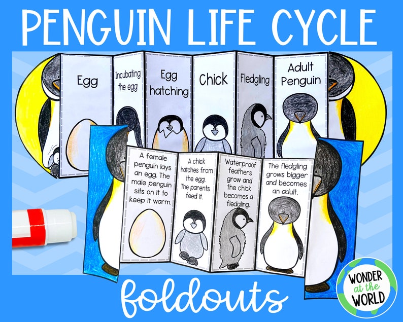 Life Cycle of a Penguin Foldable Kids' Craft Activity A4 and 11x8.5 ...