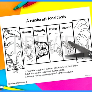 Make a Food Chain Foldable Activities PDF A4 and 8.5x11 Inch Science ...