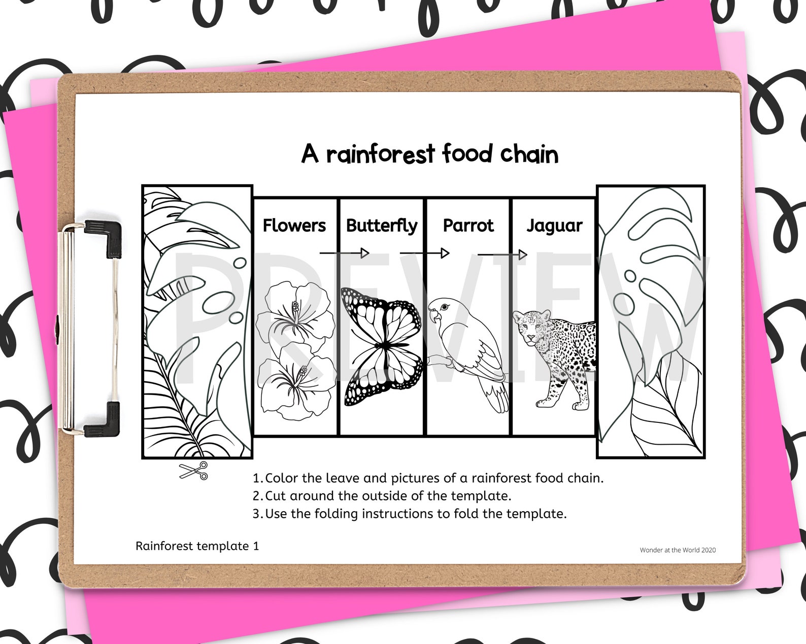 Food Chains Foldable Kids' Craft A4 and 11x8.5 Inch | Etsy