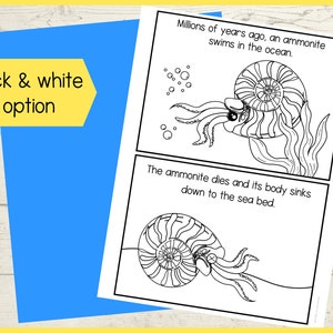 How a Fossil is Formed Printable Sequencing Activity for Kids | A4 and ...