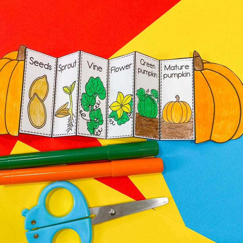 Life Cycle of a Pumpkin Foldable Activity for Kids | A4 and 11x8.5 Inch ...