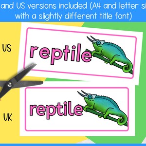 Vertebrate Animal Classification Science Vocabulary Word Wall | UK and ...
