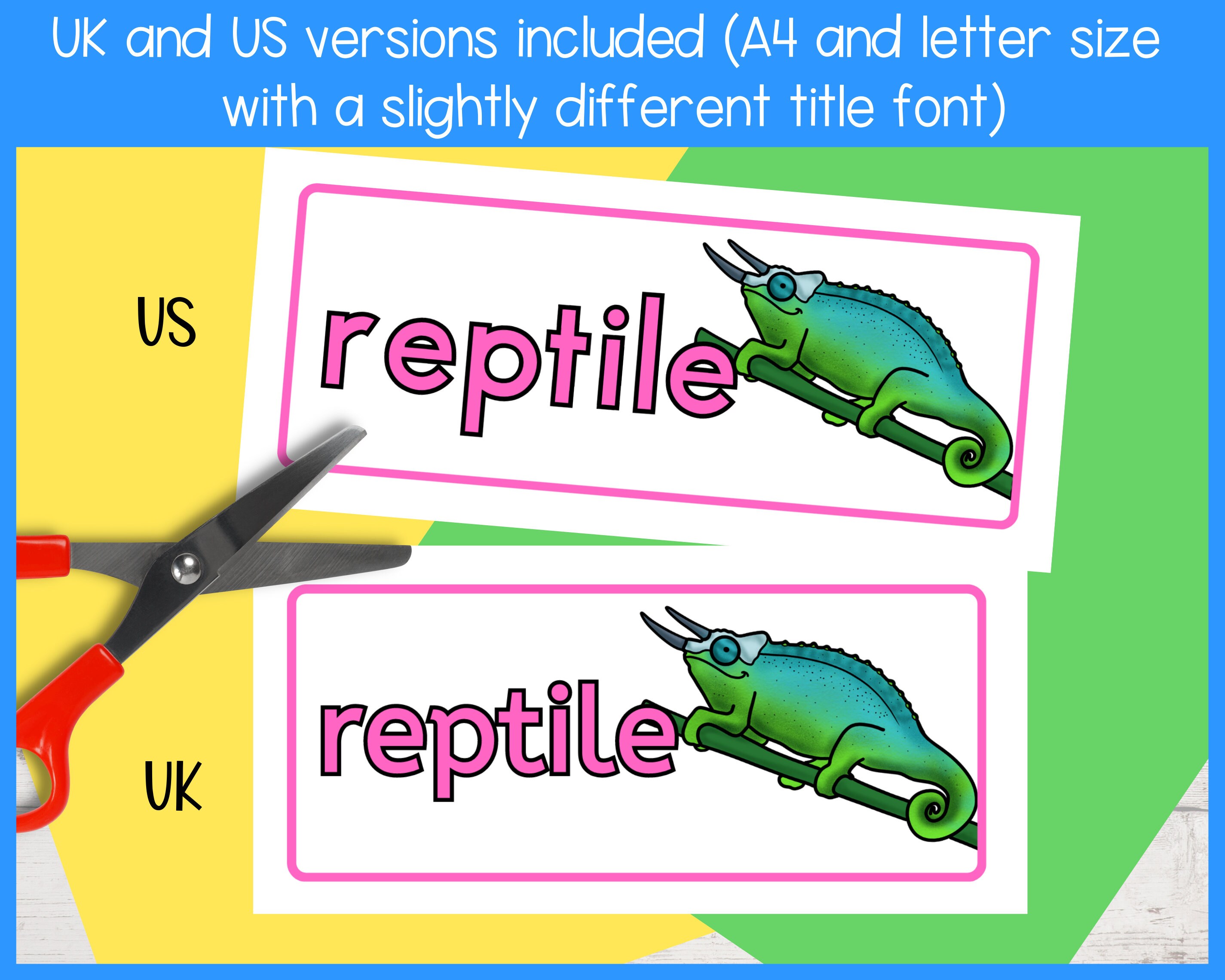 Vertebrate Animal Classification Science Vocabulary Word Wall UK and US ...