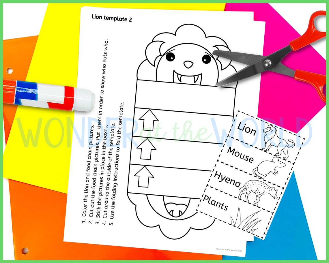 Make a Food Chain Foldable Activities PDF A4 and 8.5x11 Inch Science ...