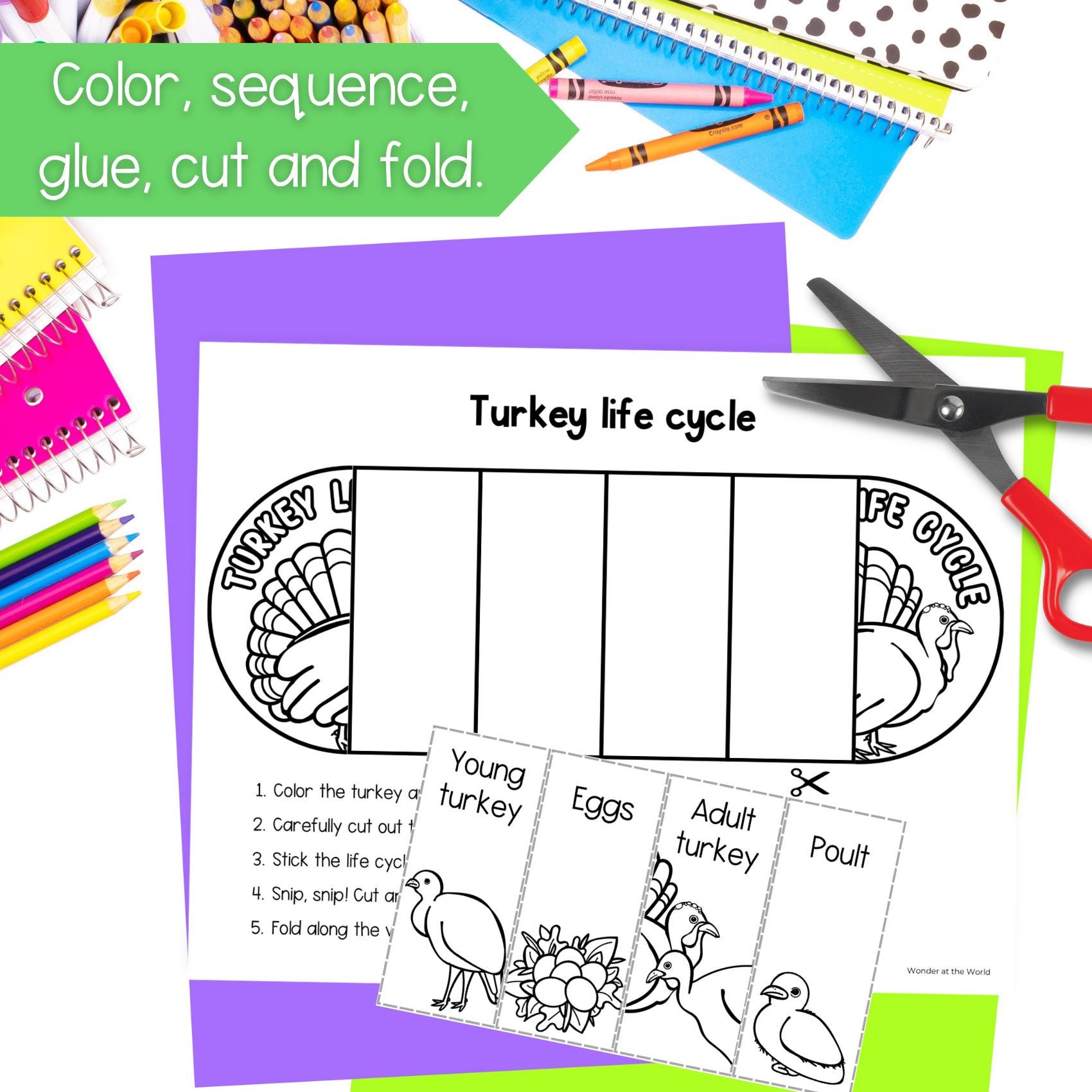 Life Cycle of a Turkey Sequence and Fold Kids' Craft Activity | 11x8.5 ...