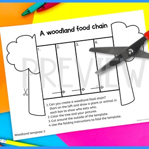 Make a Food Chain Foldable Activities PDF A4 and 8.5x11 Inch Science ...
