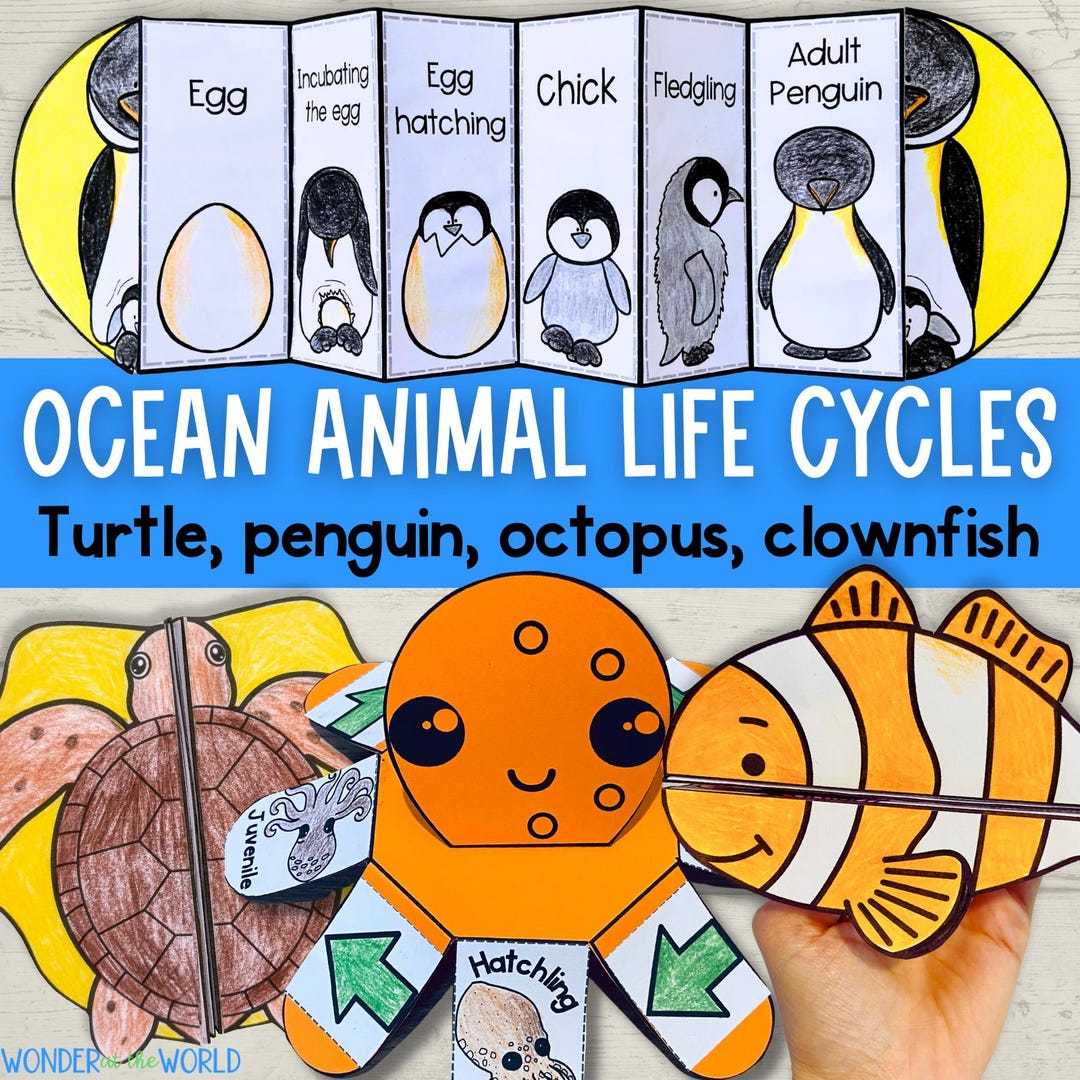 Ocean Animal Life Cycle Foldable Science Craft Activities for Kids ...