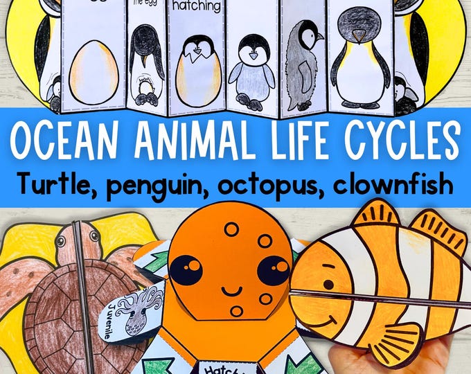 Foldable Dolphin Life Cycle Learning Activity for Kids | A4 and 11x8.5 ...