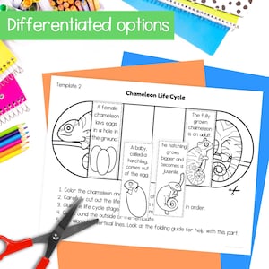Life Cycle of a Chameleon Lizard Foldable Sequencing Activity Cut and ...